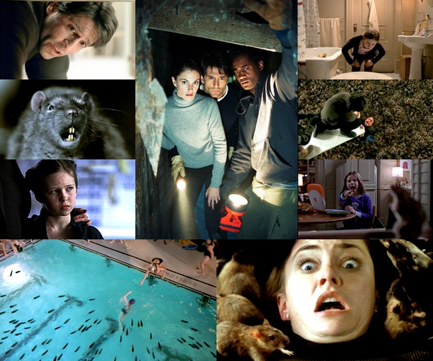 Ratten - sie sind überall! | Nagetier-Horror von John Lafia | Actionfreunde